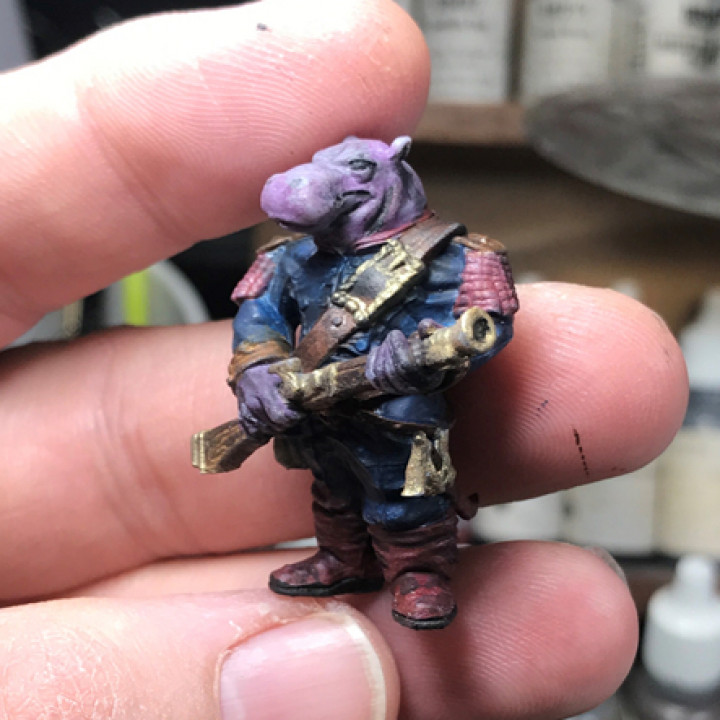 3D Print of Hippo Soldier Set / Hippofolk Warrior / Hippopotamus Army ...