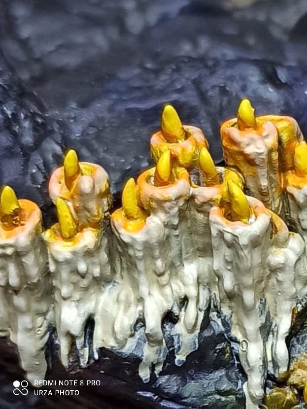 3D Printable Azael, Pit Lord by Archvillain Games