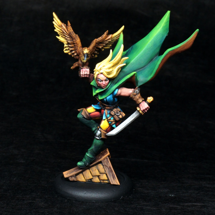 3D Print of Wendy Greywing - Thieves Guild Hero by doctorfaust1 3D Print of Wendy Greywing - Thieves Guild Hero by doctorfaust1
