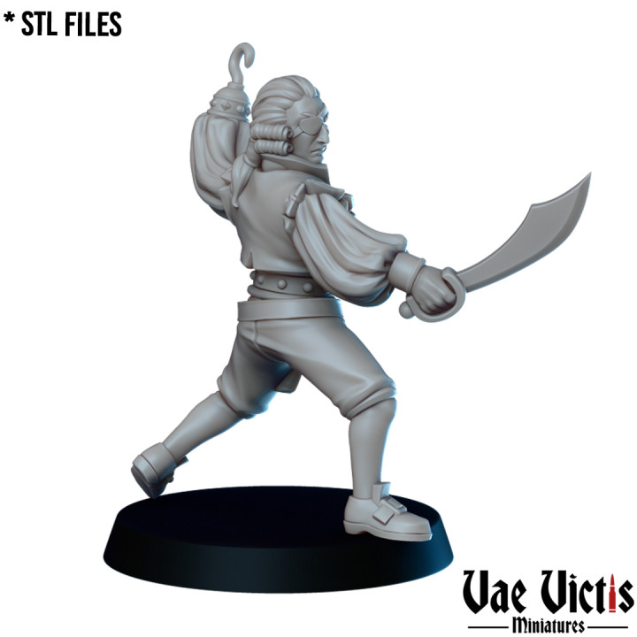 3D Printable Fancy pirate bundle by Vae Victis Miniatures