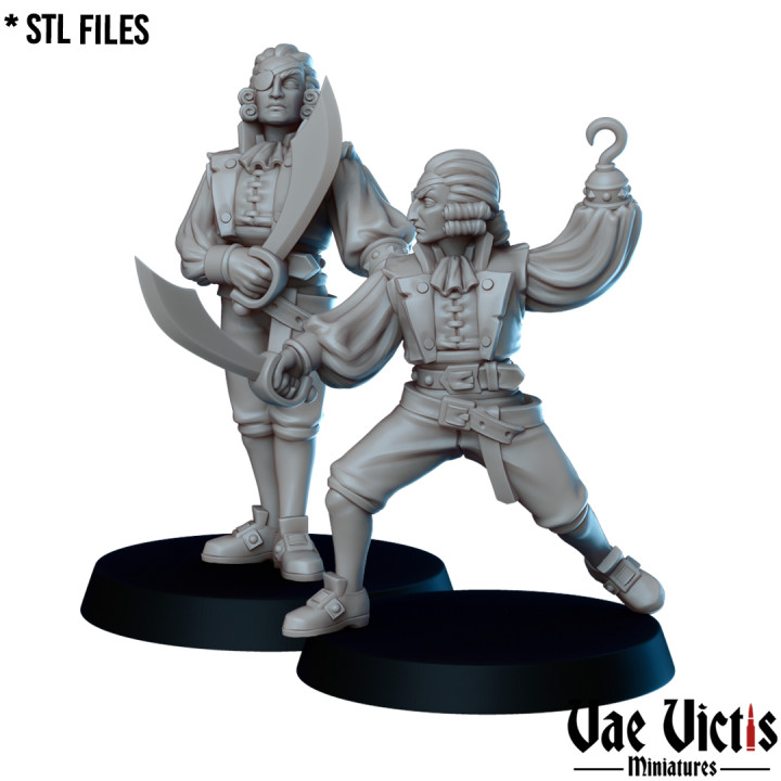3D Printable Fancy pirate bundle by Vae Victis Miniatures