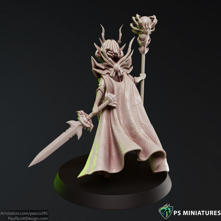 3D Printable Drow Sorceress Pose 1 + Pinup Variant by PSMiniatures