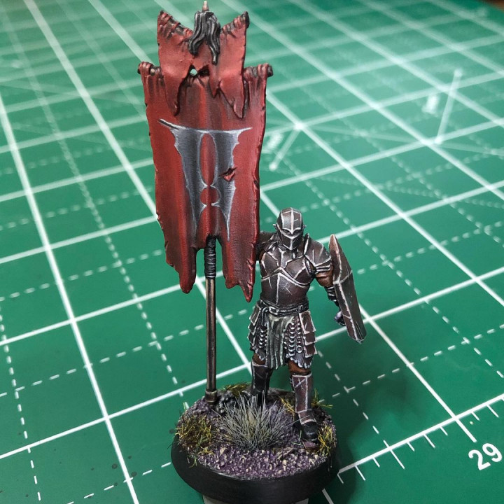 3D Print of 2x Banner Super Orc | Super Orcs | Fantasy by angelos_sbg