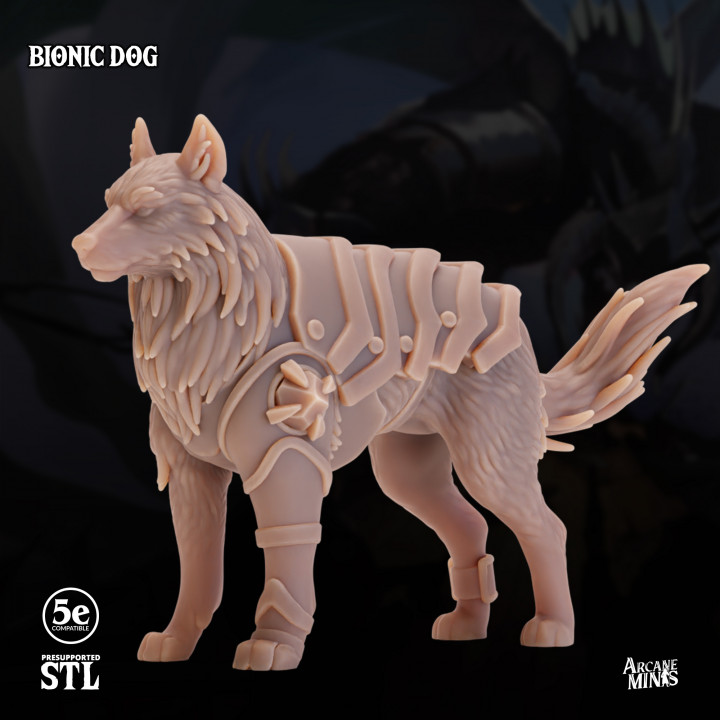 Téléchargement Shardforged Quartermaster - Deckhand par Sordane Publishing