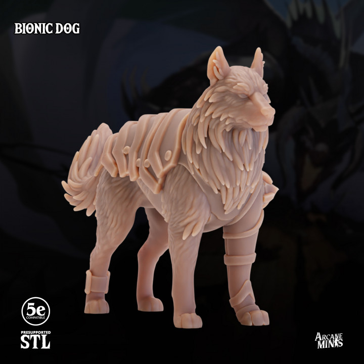 Téléchargement Shardforged Quartermaster - Deckhand par Sordane Publishing