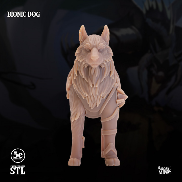 Téléchargement Shardforged Quartermaster - Deckhand par Sordane Publishing