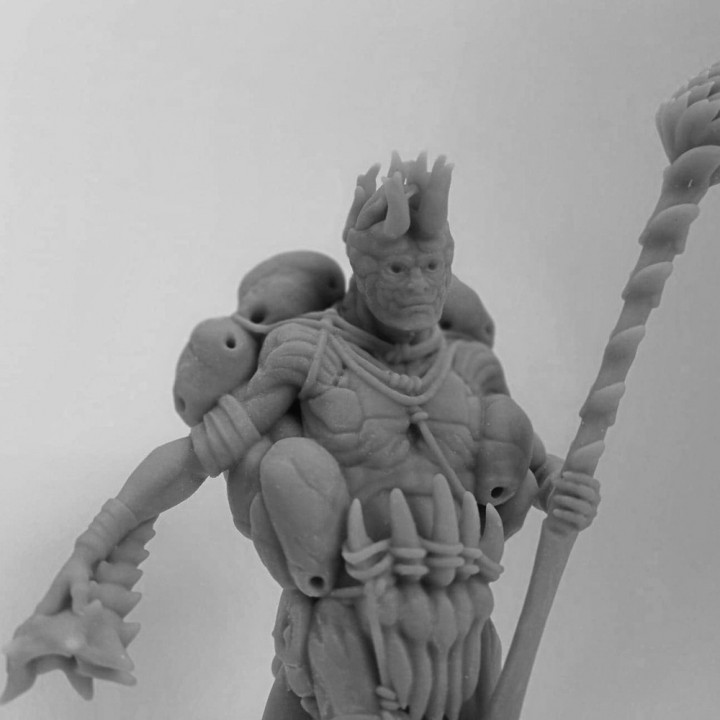 3D Printable The Hive Priest by TheSurrealFactory