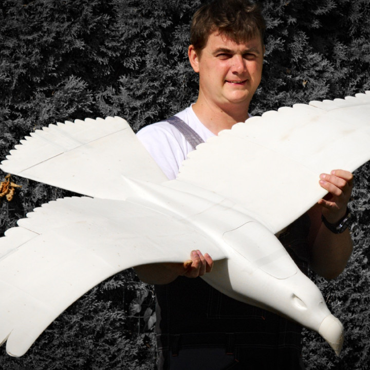 3D Printable RC Eagle by Marko Roolaid
