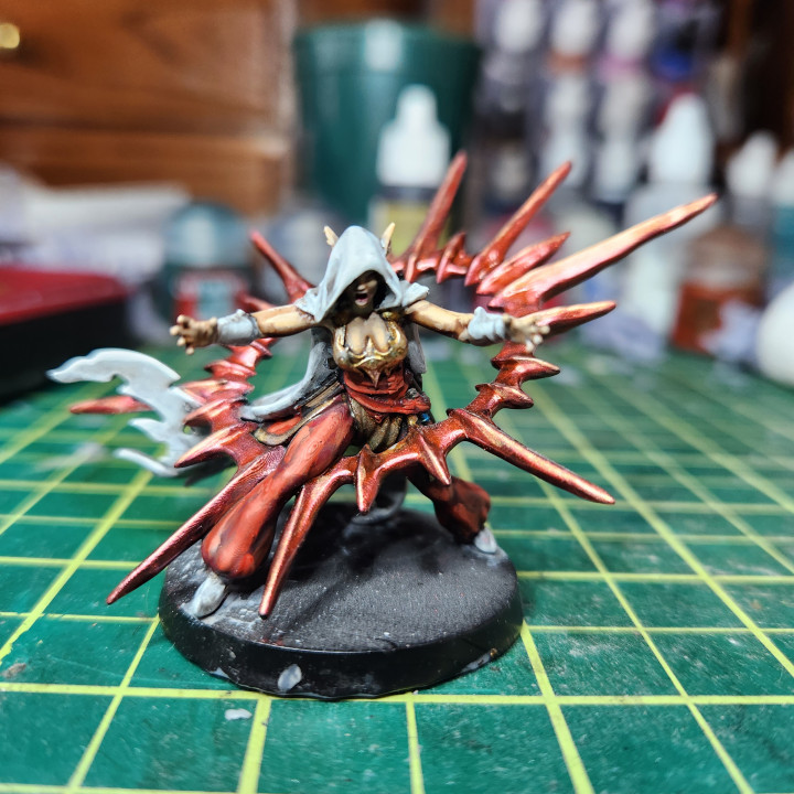 3D Print of Sel-Zelian The Combat Mage by Loneshark707
