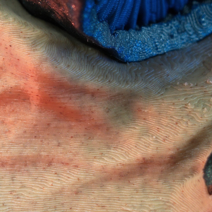 3D Printable Wormsign by Jukka Seppänen