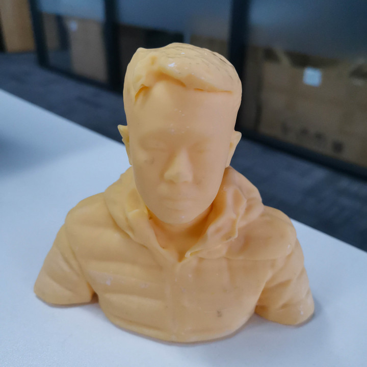 3D Printable Bust toy（generated by Revopoint POP） by Revopoint3D