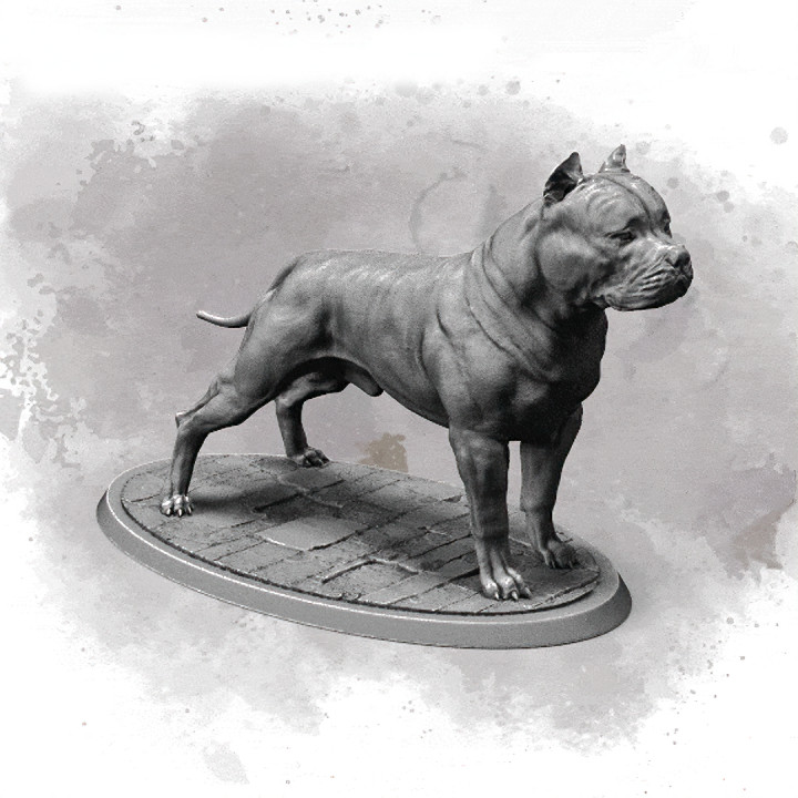 3D Printable American Bully 75&32mm Presupported by Printomancer