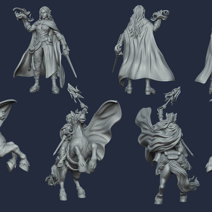 3D Printable Medwyn The Warlock - Idle and Action Pose by Ronin Arts ...