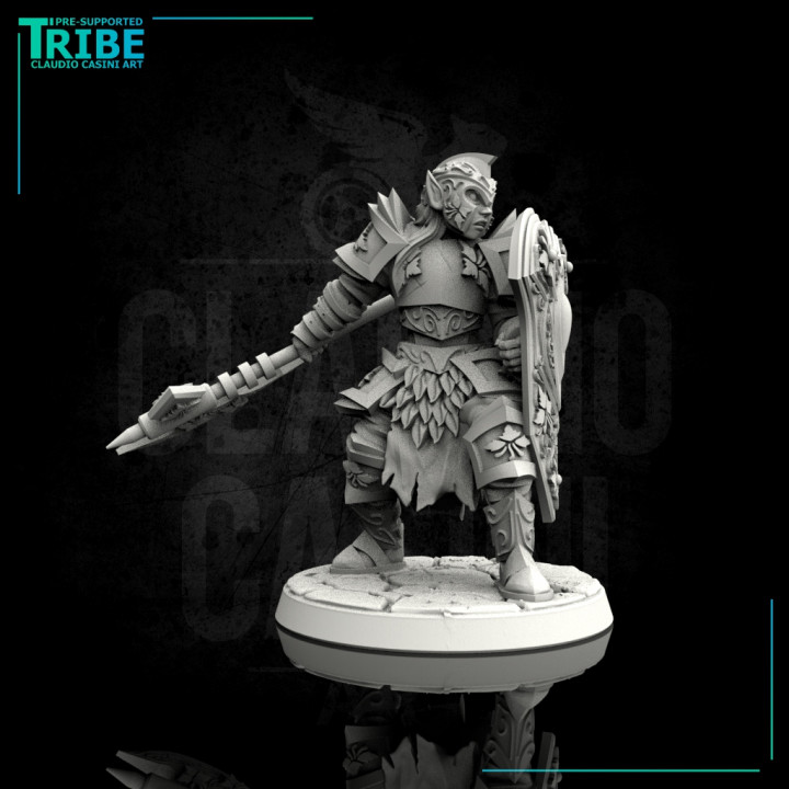 3D Printable (0070) Male elf human tiefling paladin with big axe ...