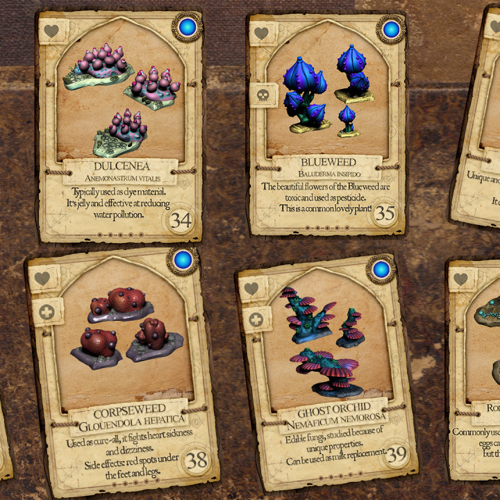 3D Printable Ocean props - Naturalia Compendium by Mojibake Collectibles