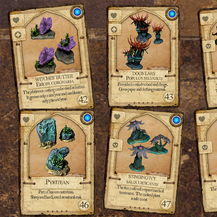 3D Printable Ocean props - Naturalia Compendium by Mojibake Collectibles