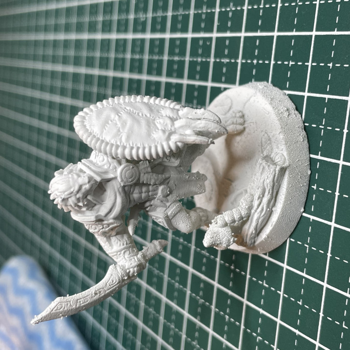 3D Print of Male Leonin Warrior with Spear/Sword and Shield ...