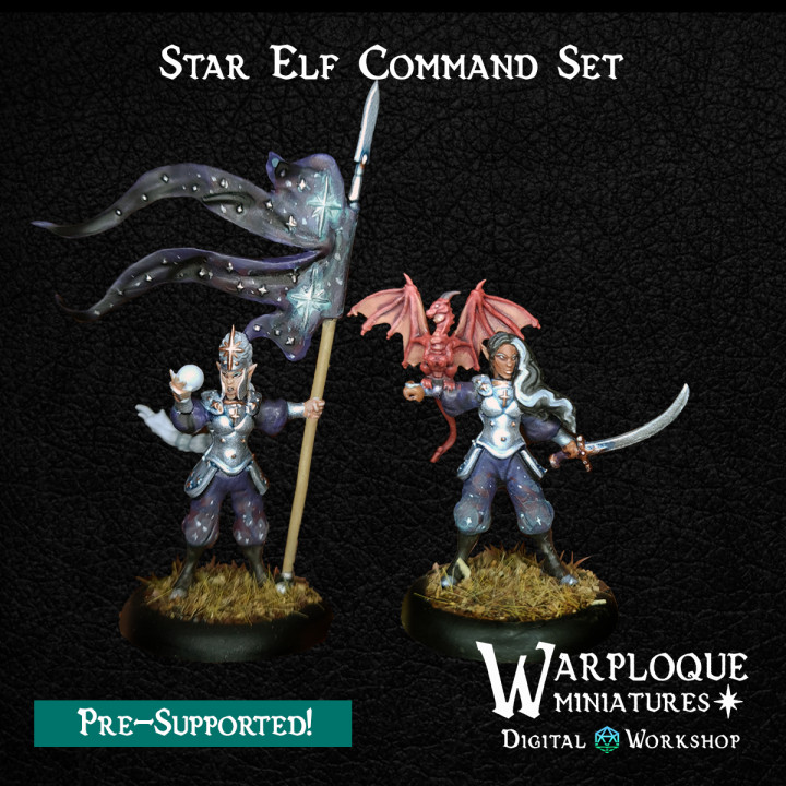 3D Printable The Star Elven Host Bundle by Warp Miniatures