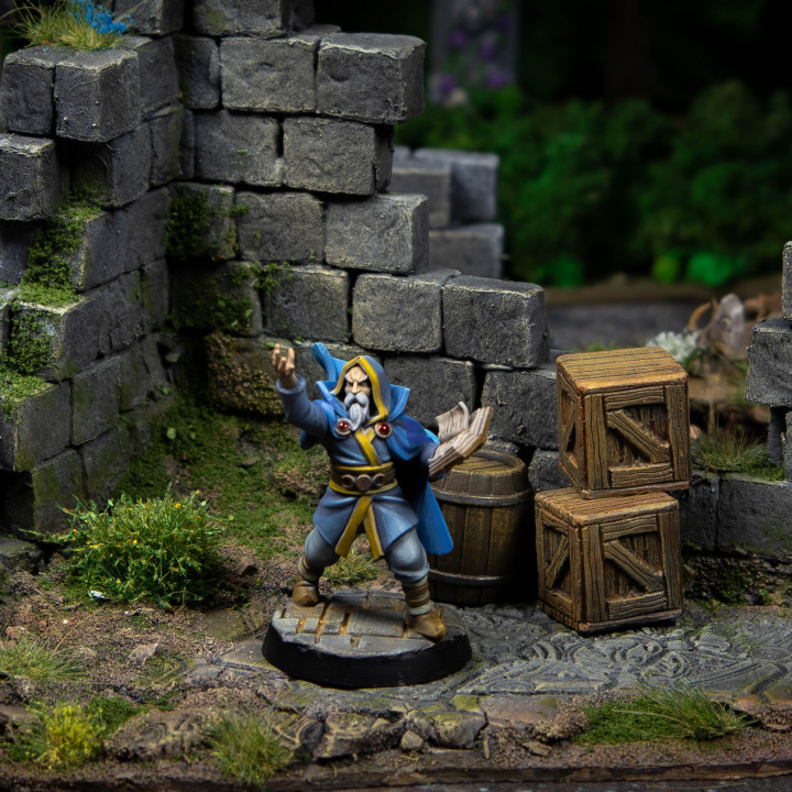 3D Print of Human Wizard [PRE-SUPPORTED] by ErunerCZ