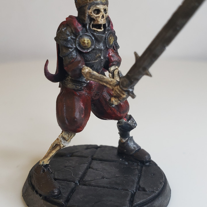 3D Print of Skeleton bundle presupported by matthewlarish