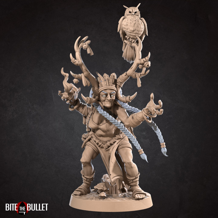 3D Printable Amazons Pack by Bite the Bullet