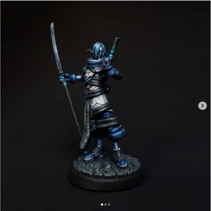 3D Printable Elanon Silverwind - Norian Space Elf Shinobi by Hack N ...
