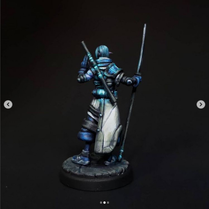 3D Printable Elanon Silverwind - Norian Space Elf Shinobi by Hack N ...