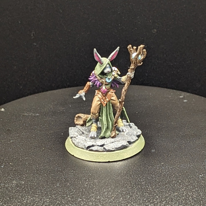 3D Print of Warriors and Warrens- Magistrate and Familiar by MrVisterMinis