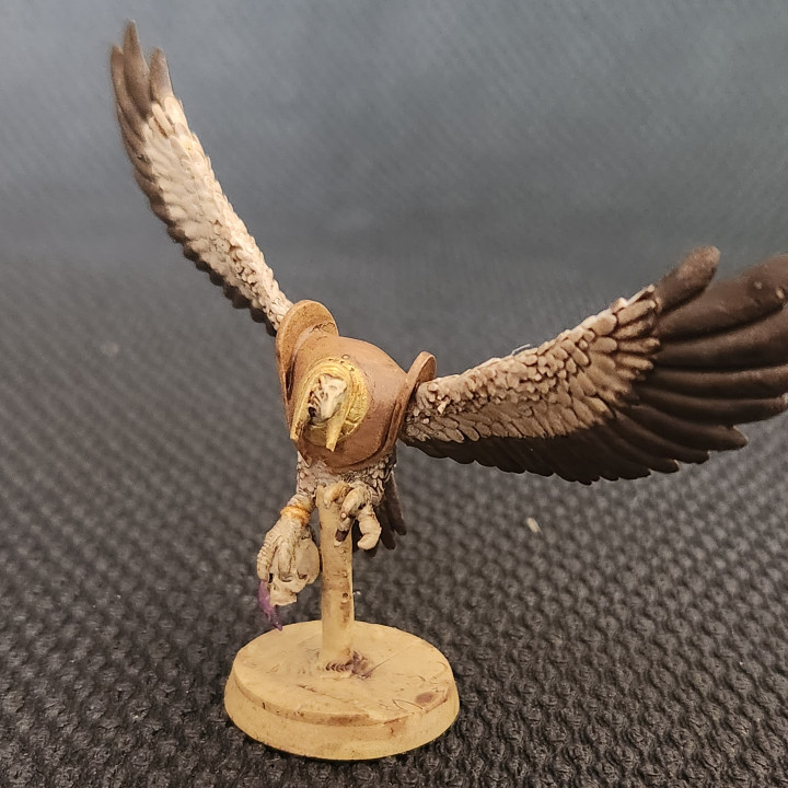 3D Print of Vultures - Mummified Undead by Pat G