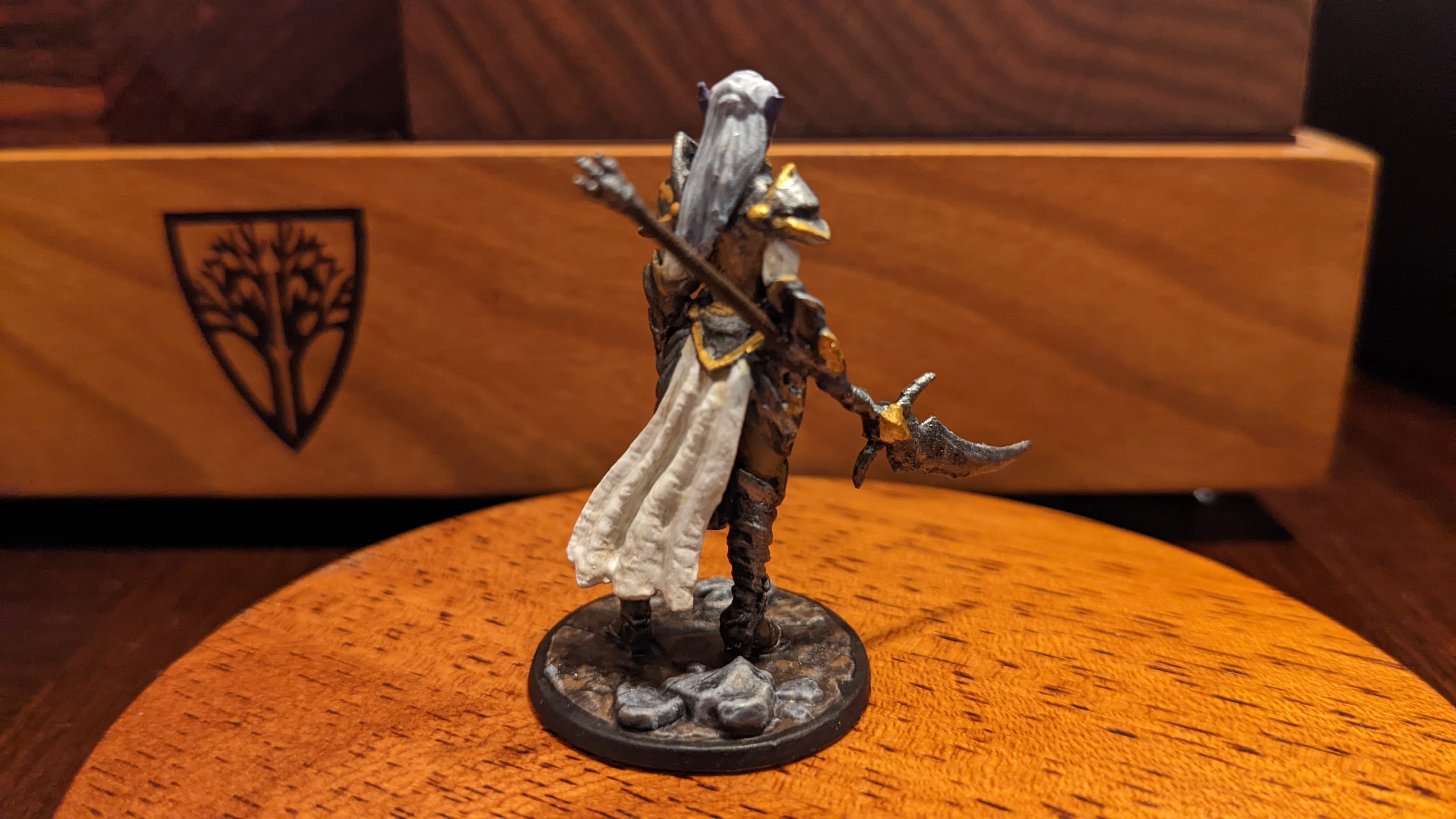 3D Printable Elven Paladin of War - Tyriana by DM Stash