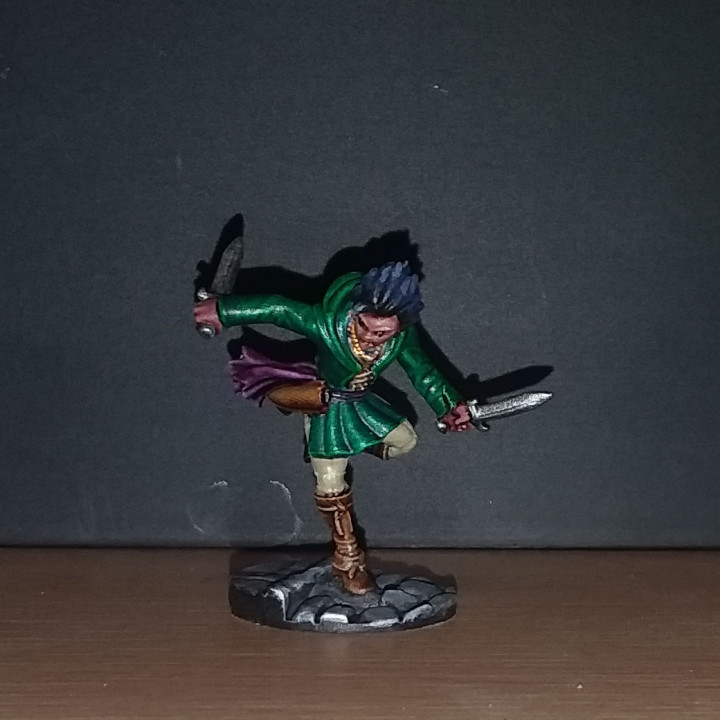 3D Print of Spike - 2 daggers adventurer - 32mm - DnD by Karithay