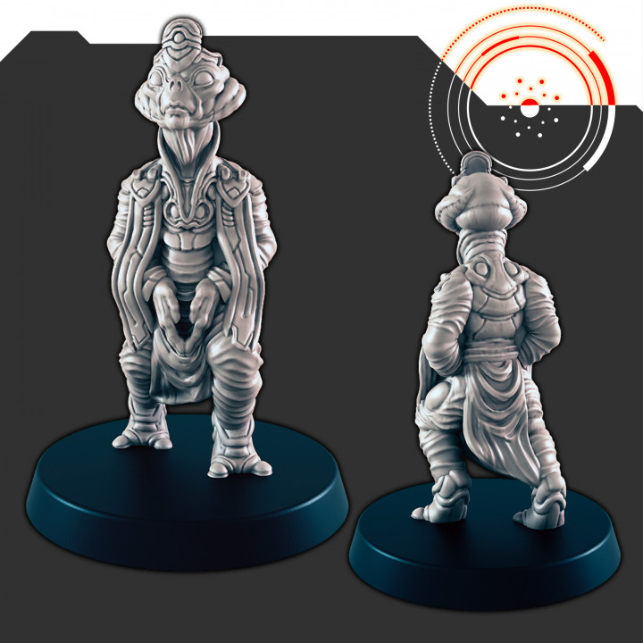 3D Printable Sci-fi Religious Alien Zealots [Support-free] by Evan ...