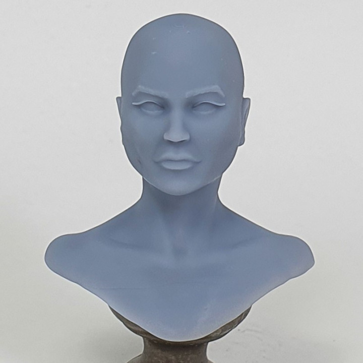3D Printable Female Academic bust, presupported by Ogareg Miniatures