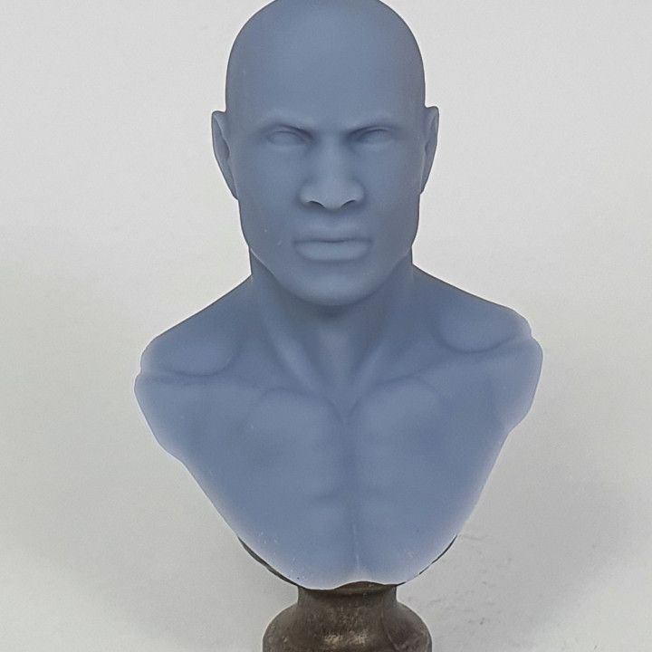 3D Printable Male Academic Bust by Ogareg Miniatures