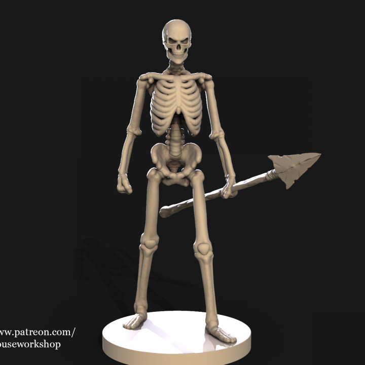 3D Printable Skeleton by WarehouseWorkshop
