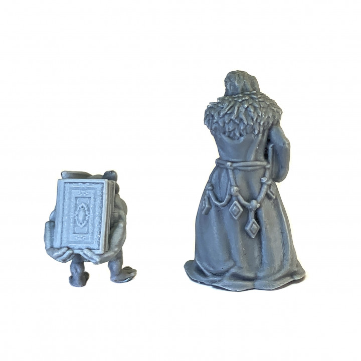 3D Printable Dark Magister and book demon by Tiny Furniture