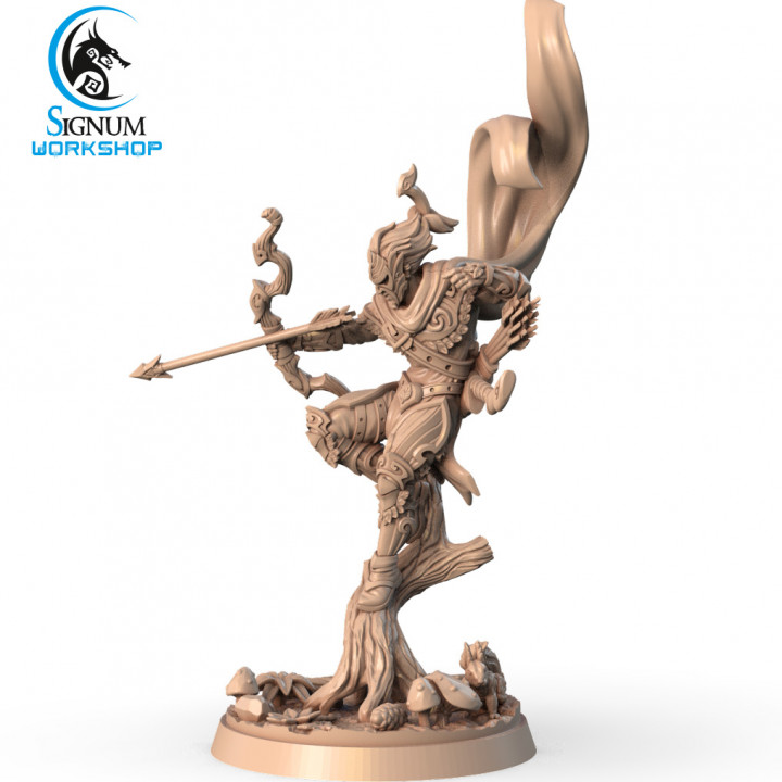 3D Printable Aridan the Hunter by Signum Workshop