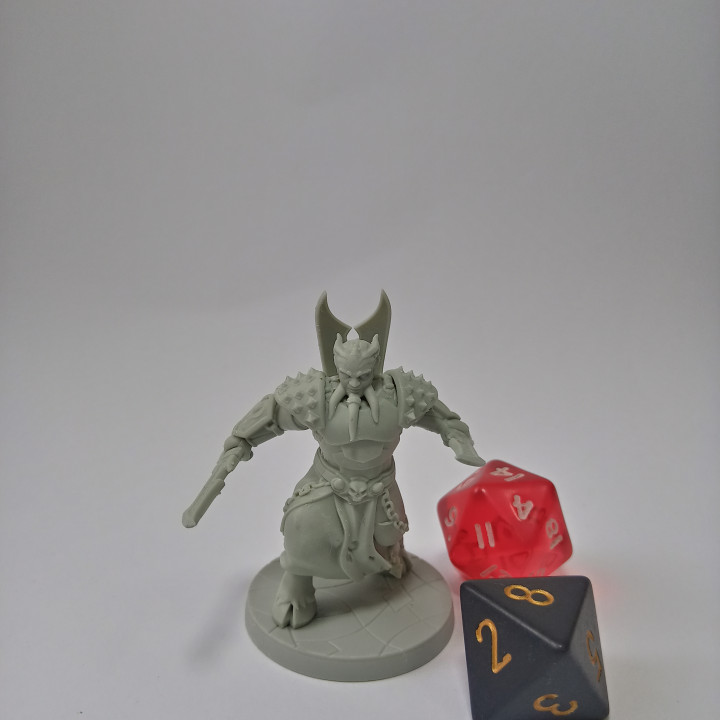 3D Printable Agamar- The Merciless by Imagine Minis