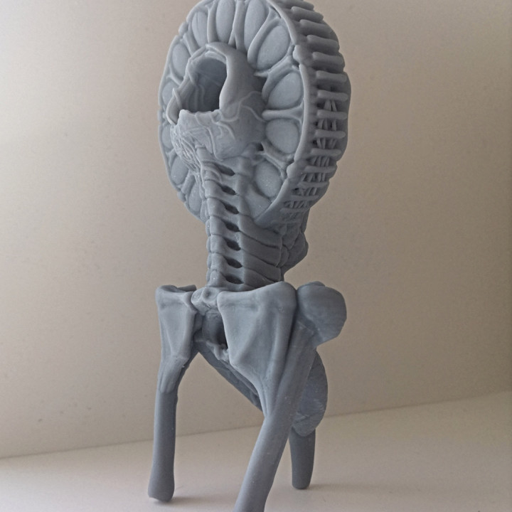 3D Printable The Monarch by TheSurrealFactory