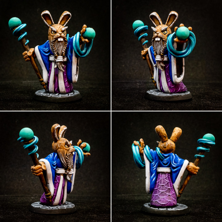 3D Print of Wizard Rabbit (pre-supported included) by stevenmileham