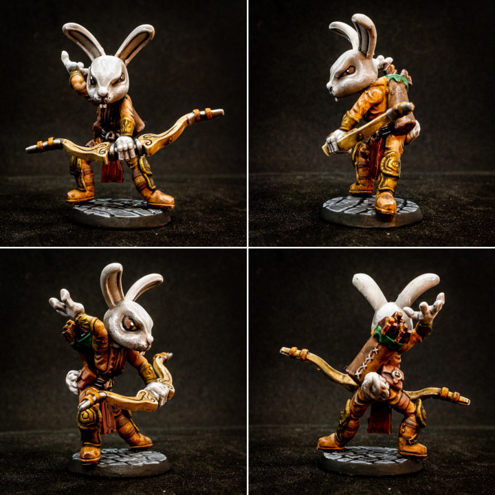 3D Print of Rabbit Ranger (pre-supported included) by stevenmileham