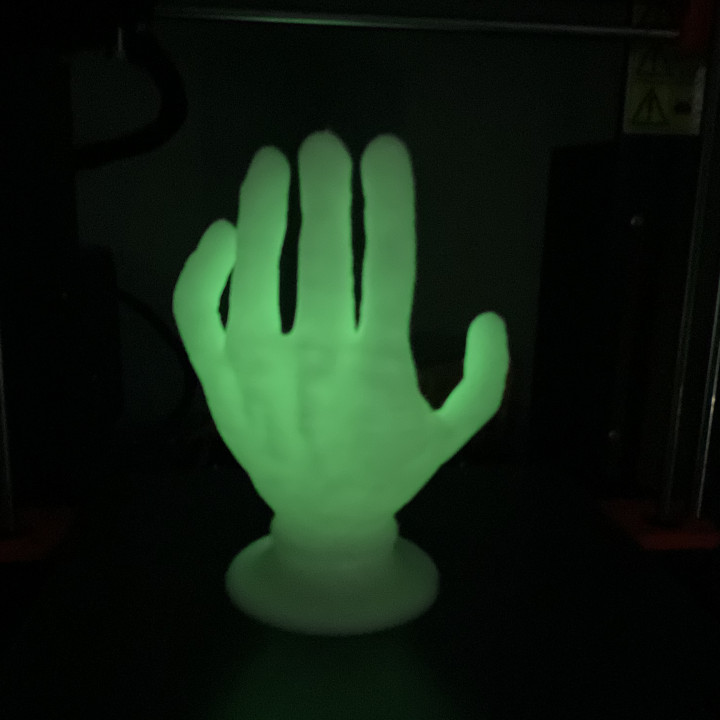 3D Printable 3D Hand Trophy by Esteban Rivera