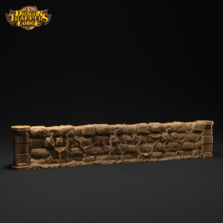 3D Printable The Labyrinth of Pan by The Dragon Trappers Lodge