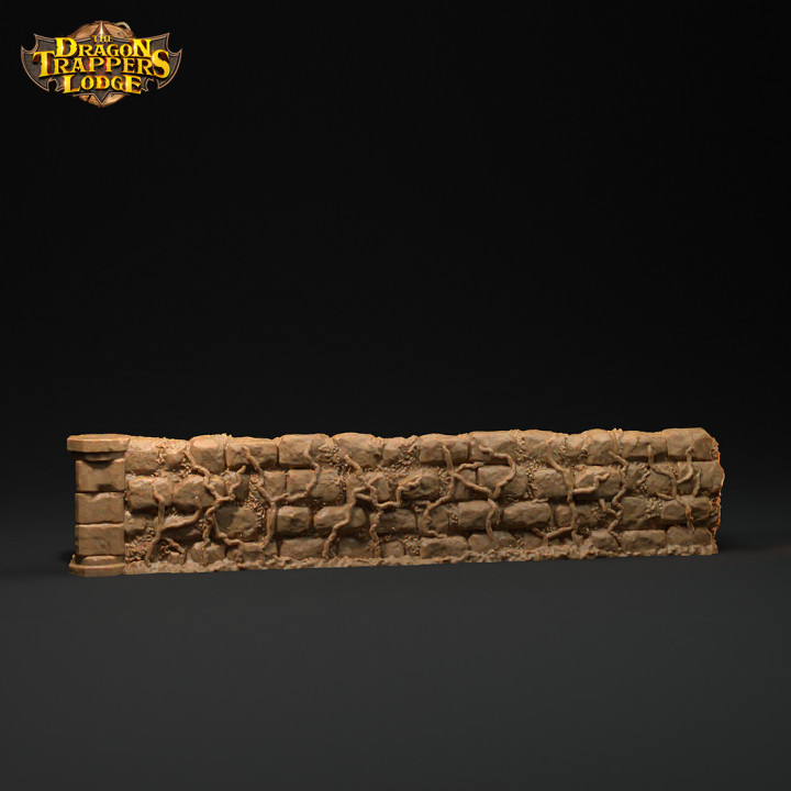 3D Printable The Labyrinth of Pan by The Dragon Trappers Lodge