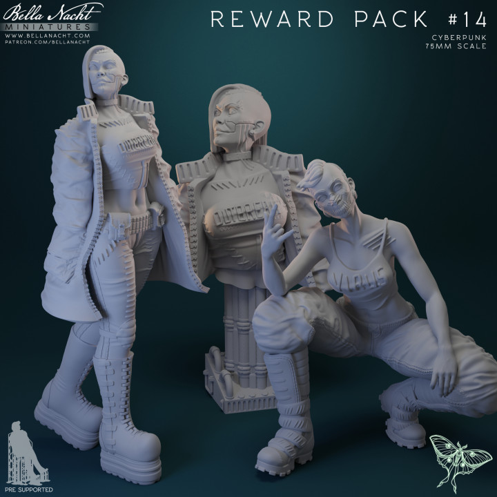 3D Printable Reward Pack #14 | Cyberpunk by Bella Nacht Minis