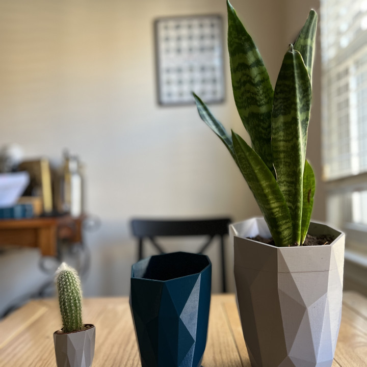 3D Printable Low Poly Planter by Bradley Shaw