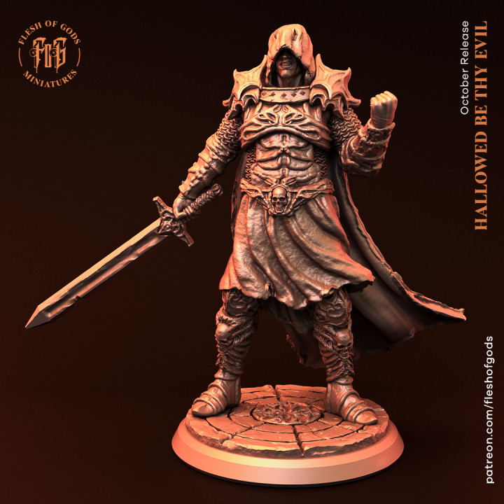 3D Printable Fallen Paladin by Flesh of Gods