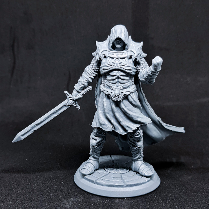 3D Printable Fallen Paladin by Flesh of Gods