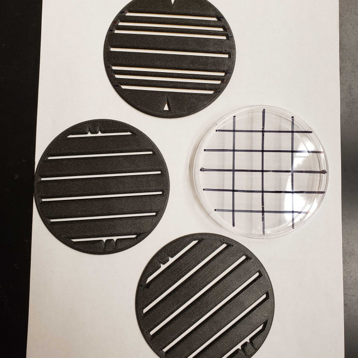 3D Printable Grid Layout Petri Dish Stencils by Robert