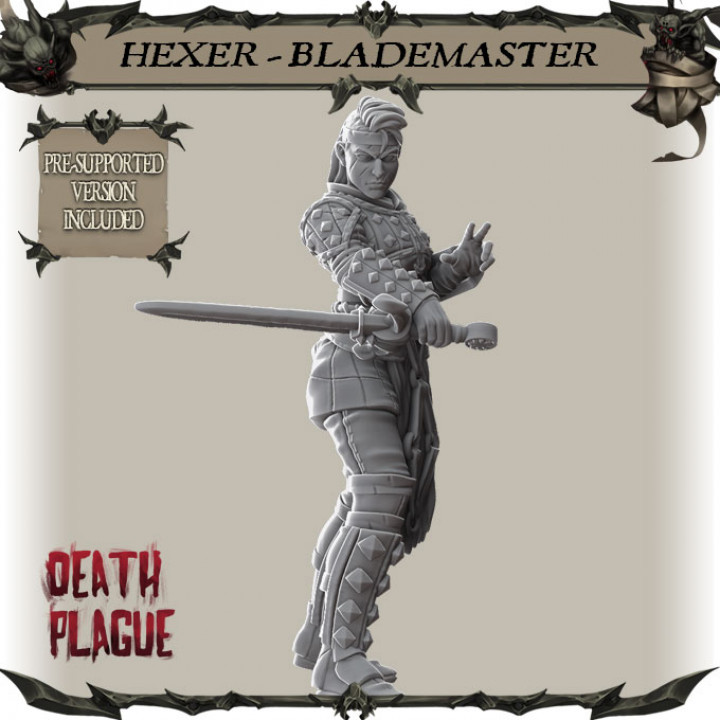 3D Printable Hexer Blademaster by RocketPigGames